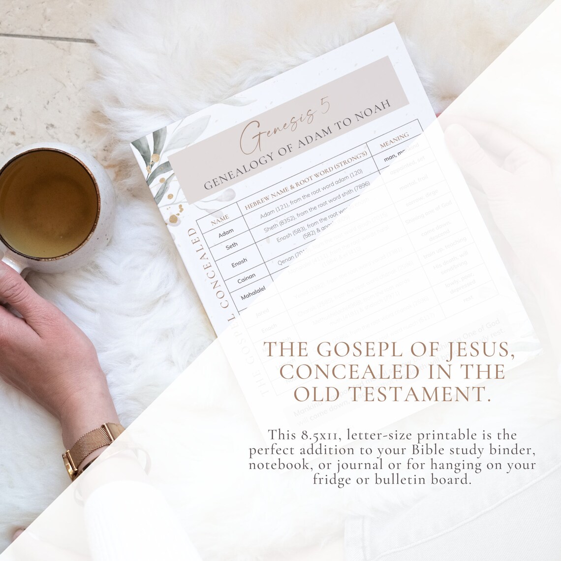 Bible Study PRINTABLE, Bible Insert, Bible Genealogy, Genesis, Names in ...