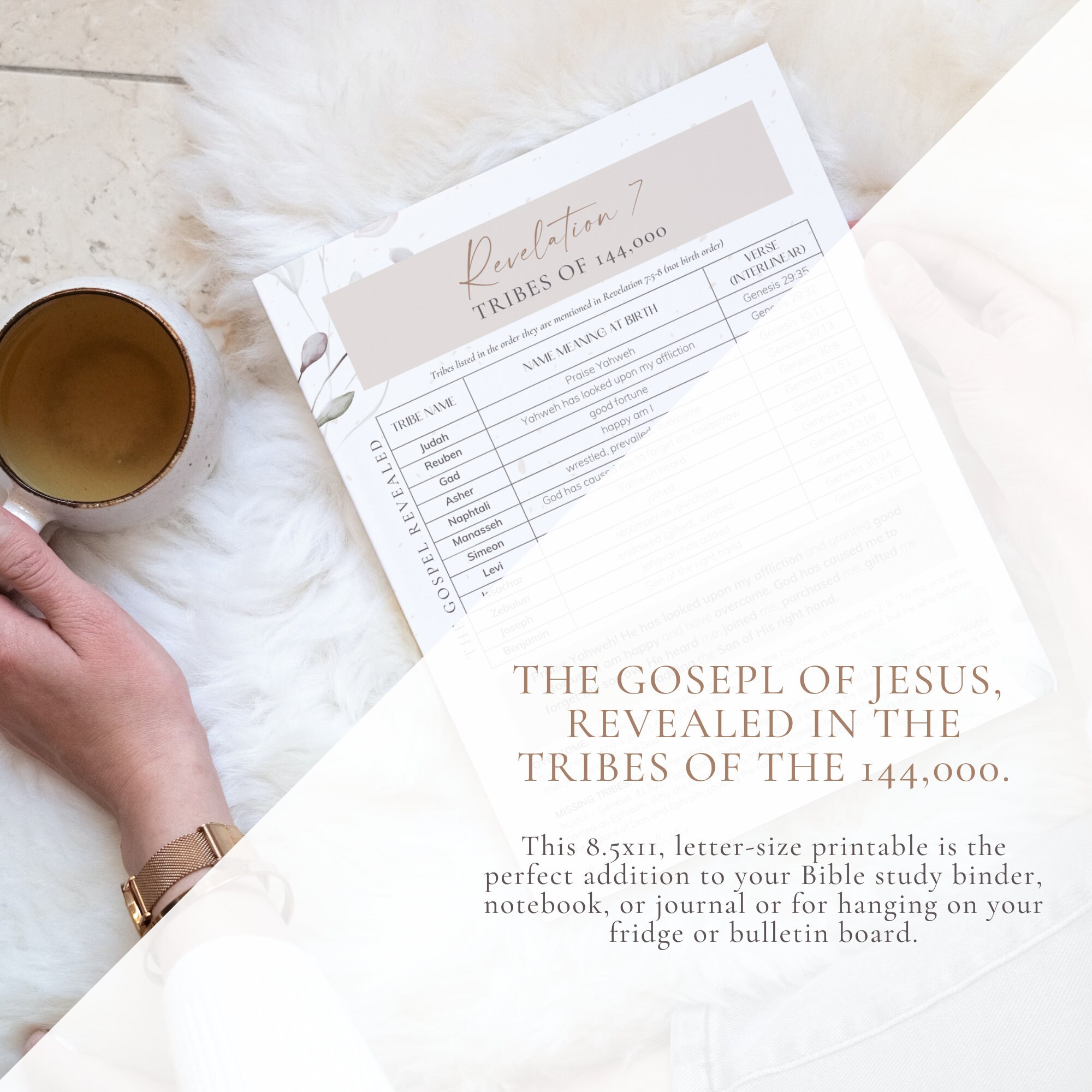 Bible Study PRINTABLE, Bible Insert, Revelation, Names in Scripture ...