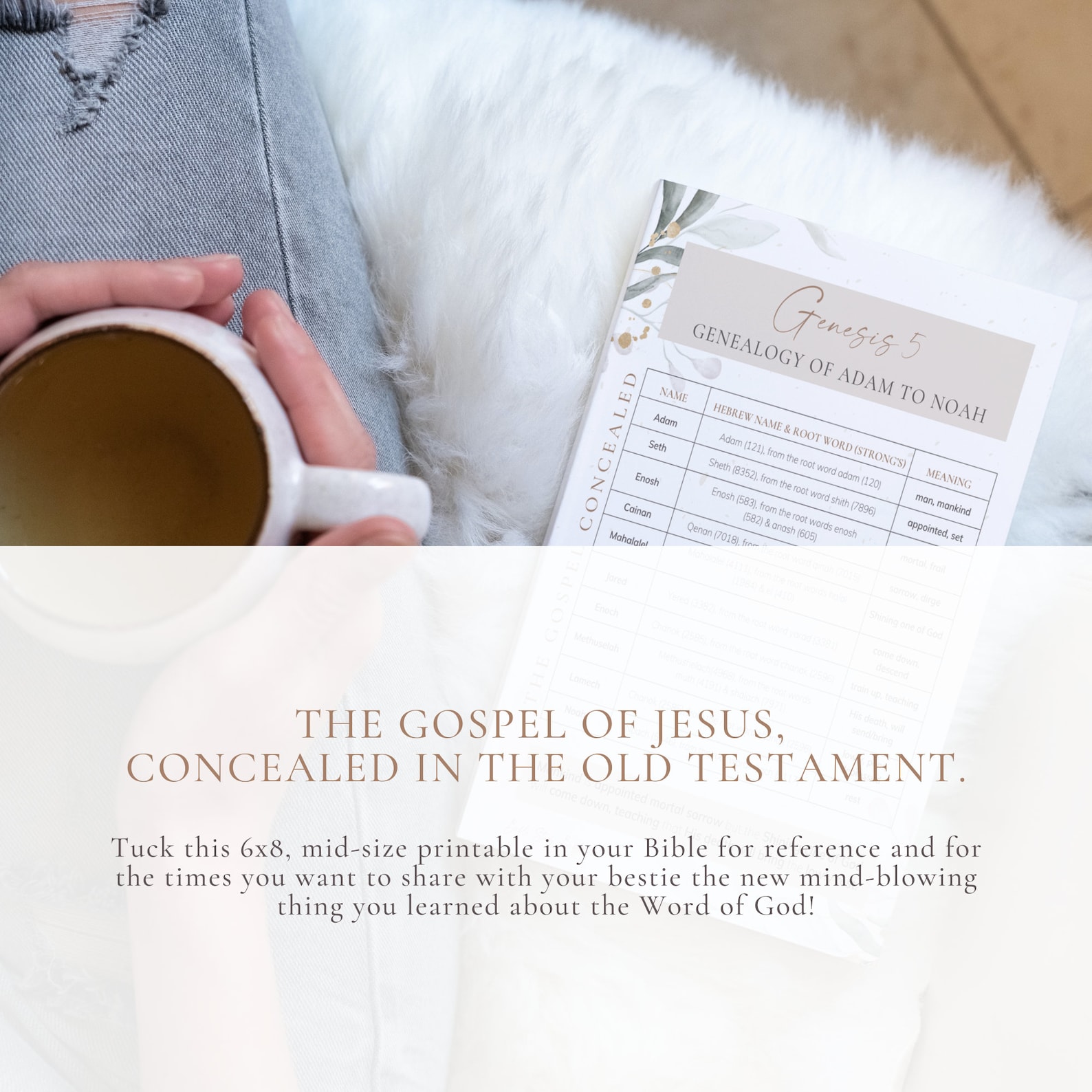 Bible Study PRINTABLE, Bible Insert, Bible Genealogy, Genesis, Names in ...
