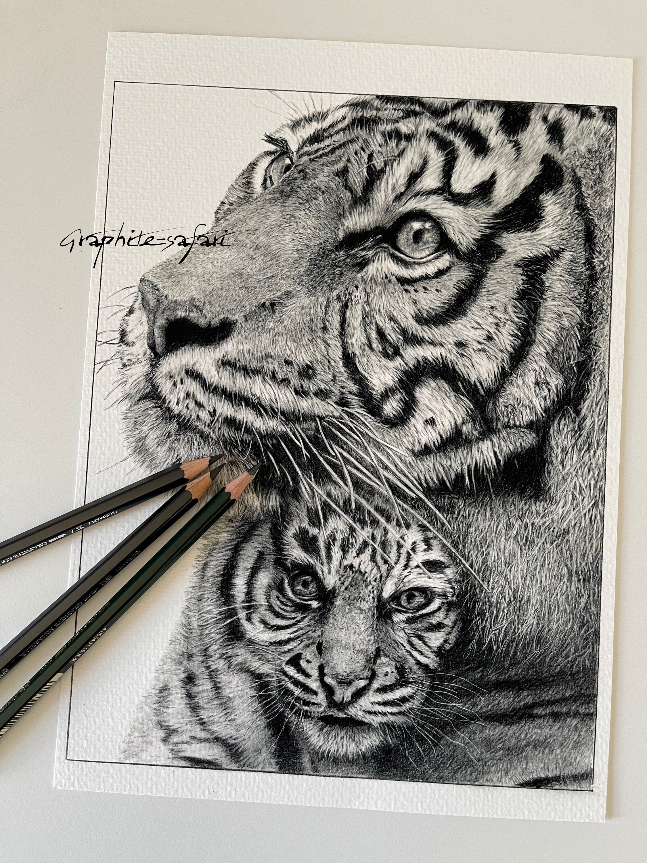 Realistic Tiger Drawing Step By Step
