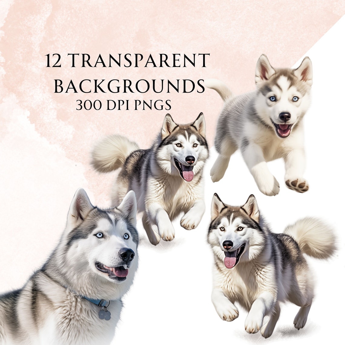 Alaskan Husky Clipart Bundle, Digital Scrapbooking Elements, Animal ...