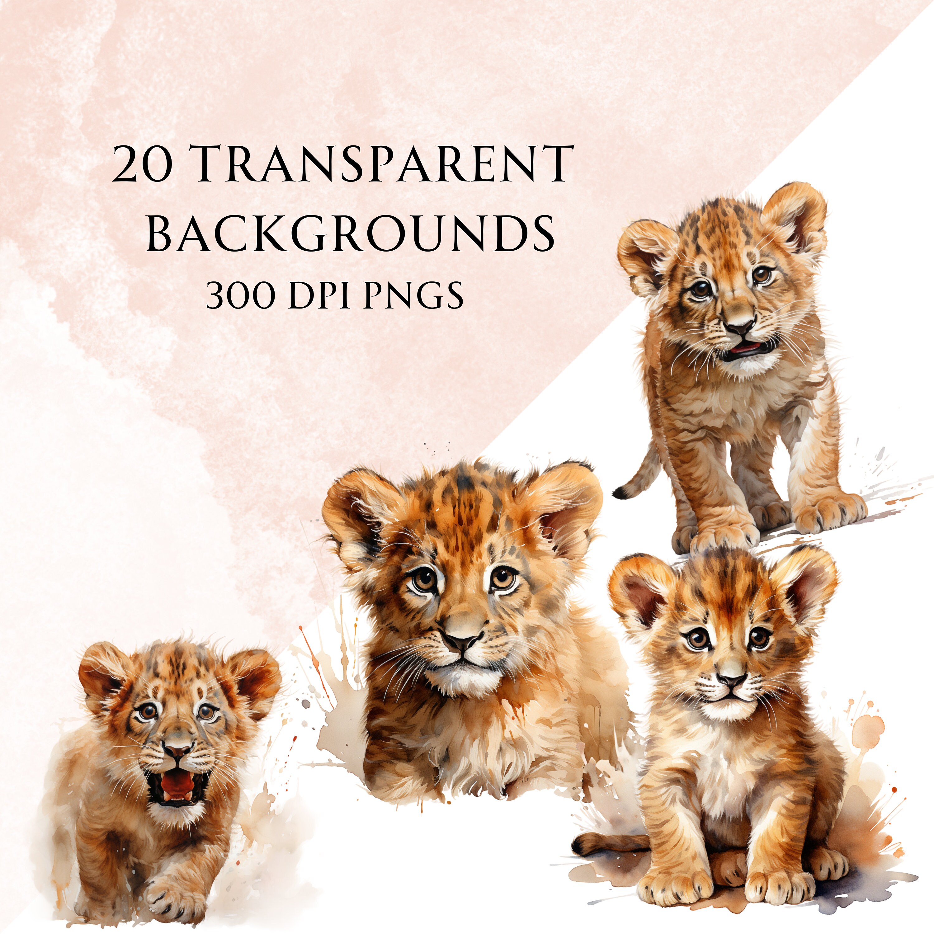 Baby Lion Clipart Bundle, Clipart for Commercial Use, Transparent Pngs ...