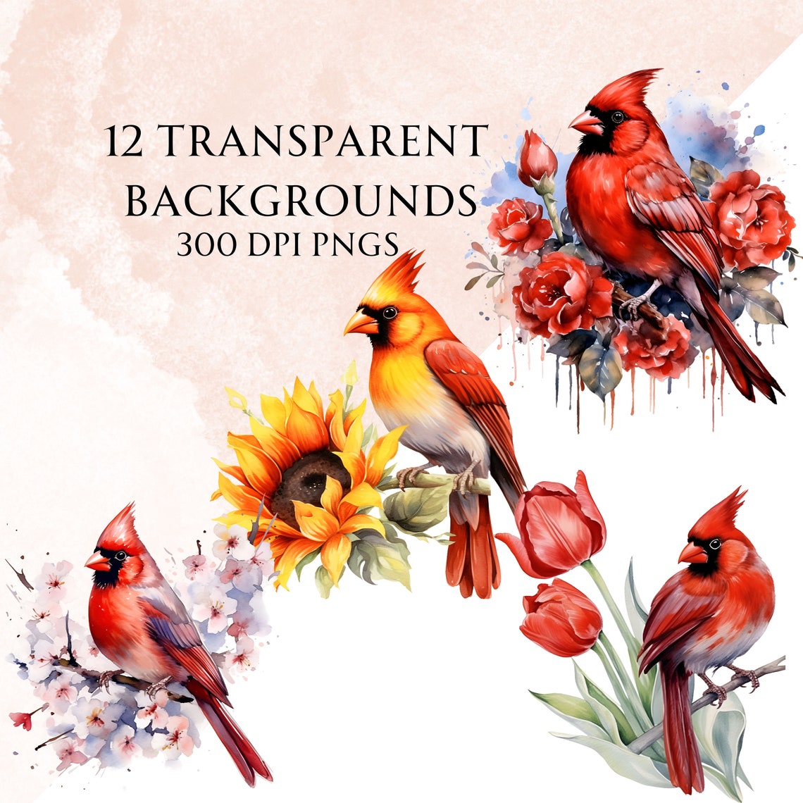 Watercolor Cardinal Clipart PNG Bundle Watercolor Digital - Etsy