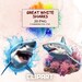Great White Shark Clipart: Ocean Wildlife, Marine Creatures, Commercial ...