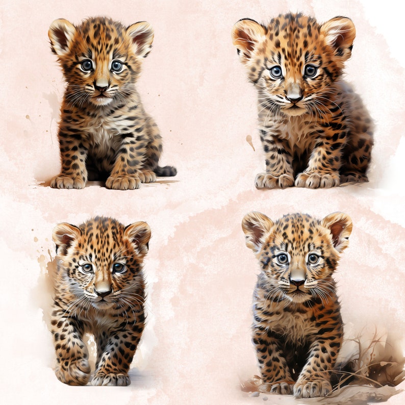 Baby Leopards Clipart Bundle Clipart for Commercial Use - Etsy