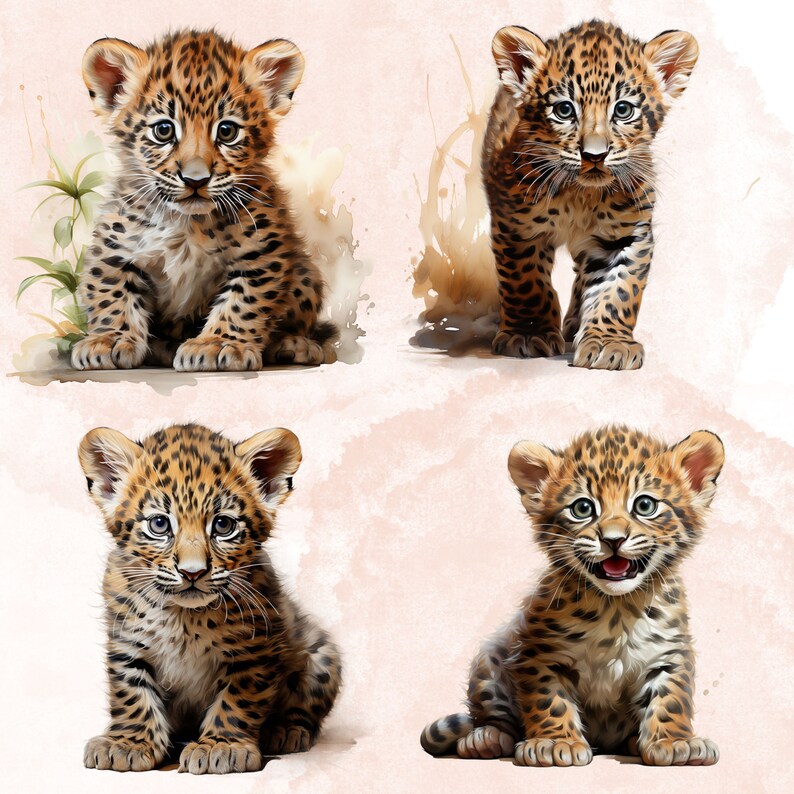 Baby Leopards Clipart Bundle Clipart for Commercial Use - Etsy