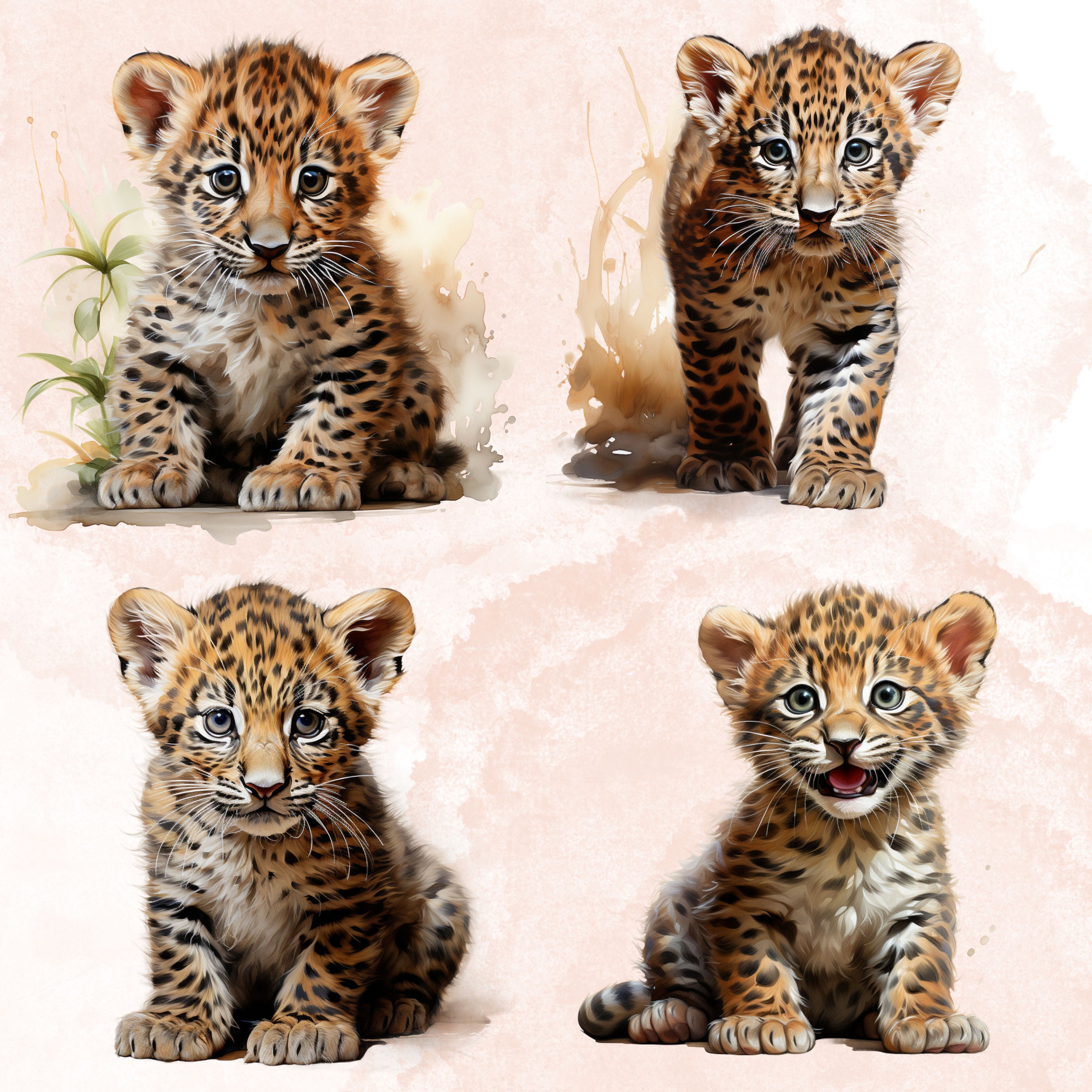 Baby Leopards Clipart Bundle Clipart for Commercial Use - Etsy