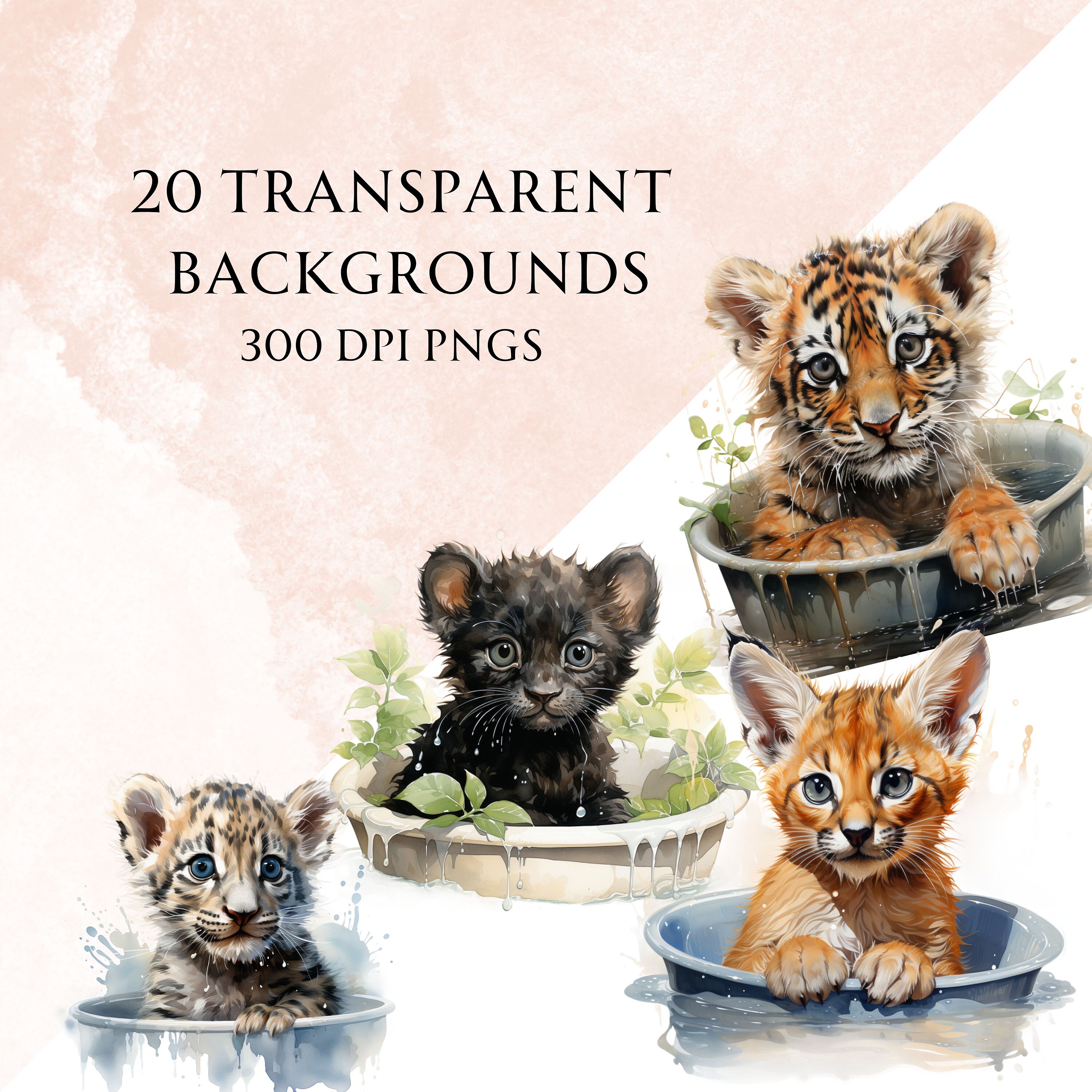 Baby Big Cats in Tubs Clipart Bundle, Clipart for Commercial Use ...