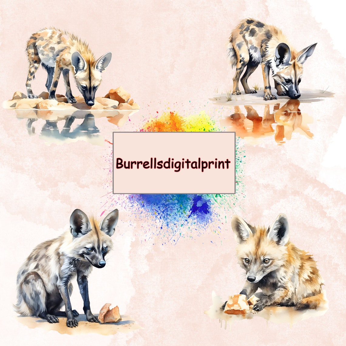 Watercolor Aardwolf Clipart PNG Bundle, Digital Scrapbooking Elements ...
