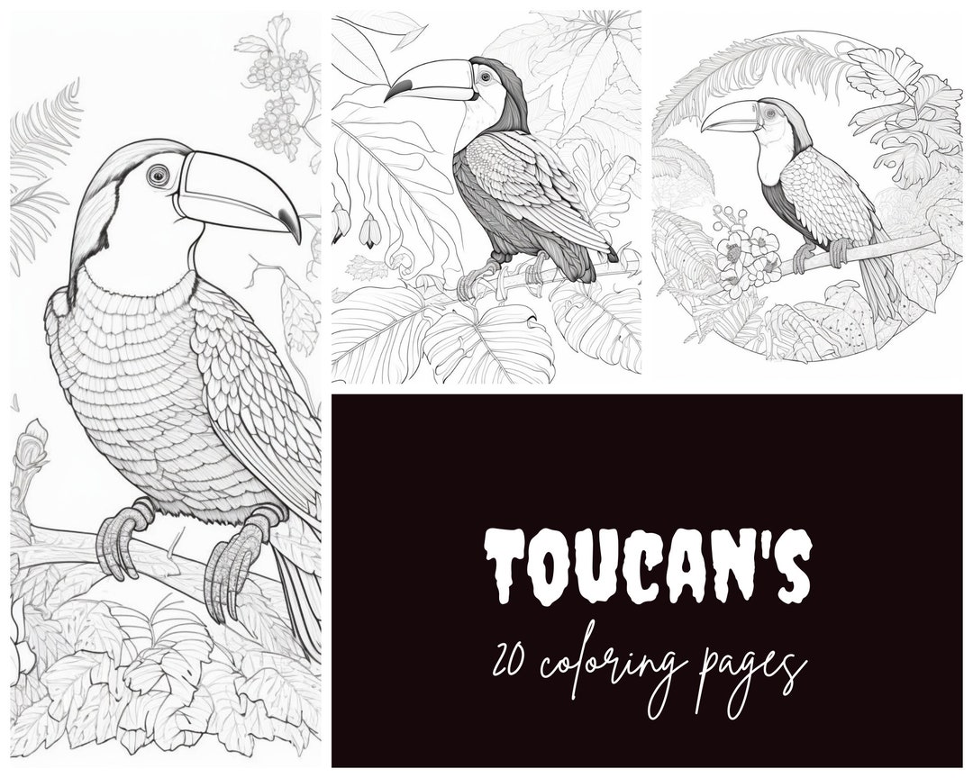 20 Pages of Vibrant Toucan Coloring Adventure - Etsy