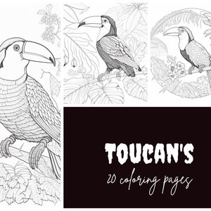 20 Pages of Vibrant Toucan Coloring Adventure - Etsy