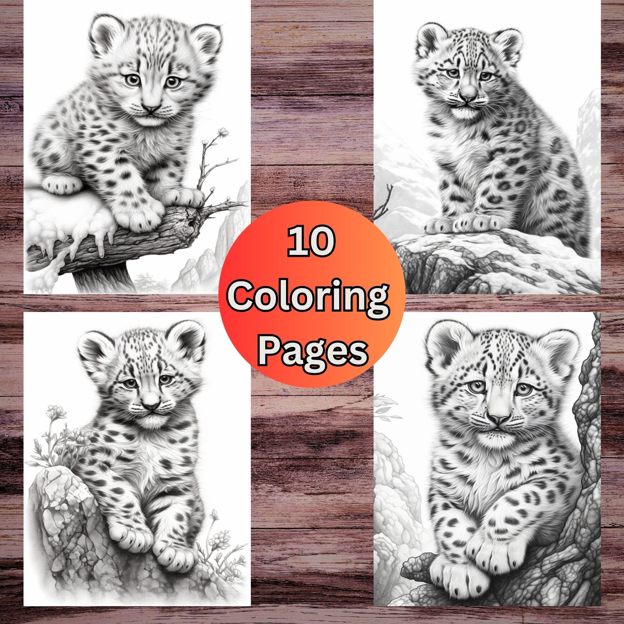 Baby Snow Leopard Coloring Pages