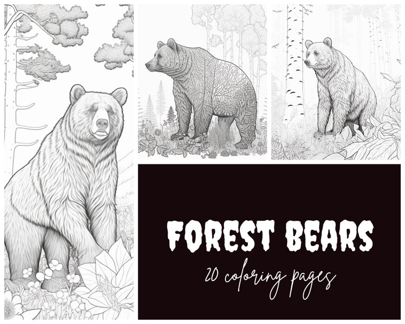 Realistic Forest Bear Coloring Pages Set of 20 - Etsy