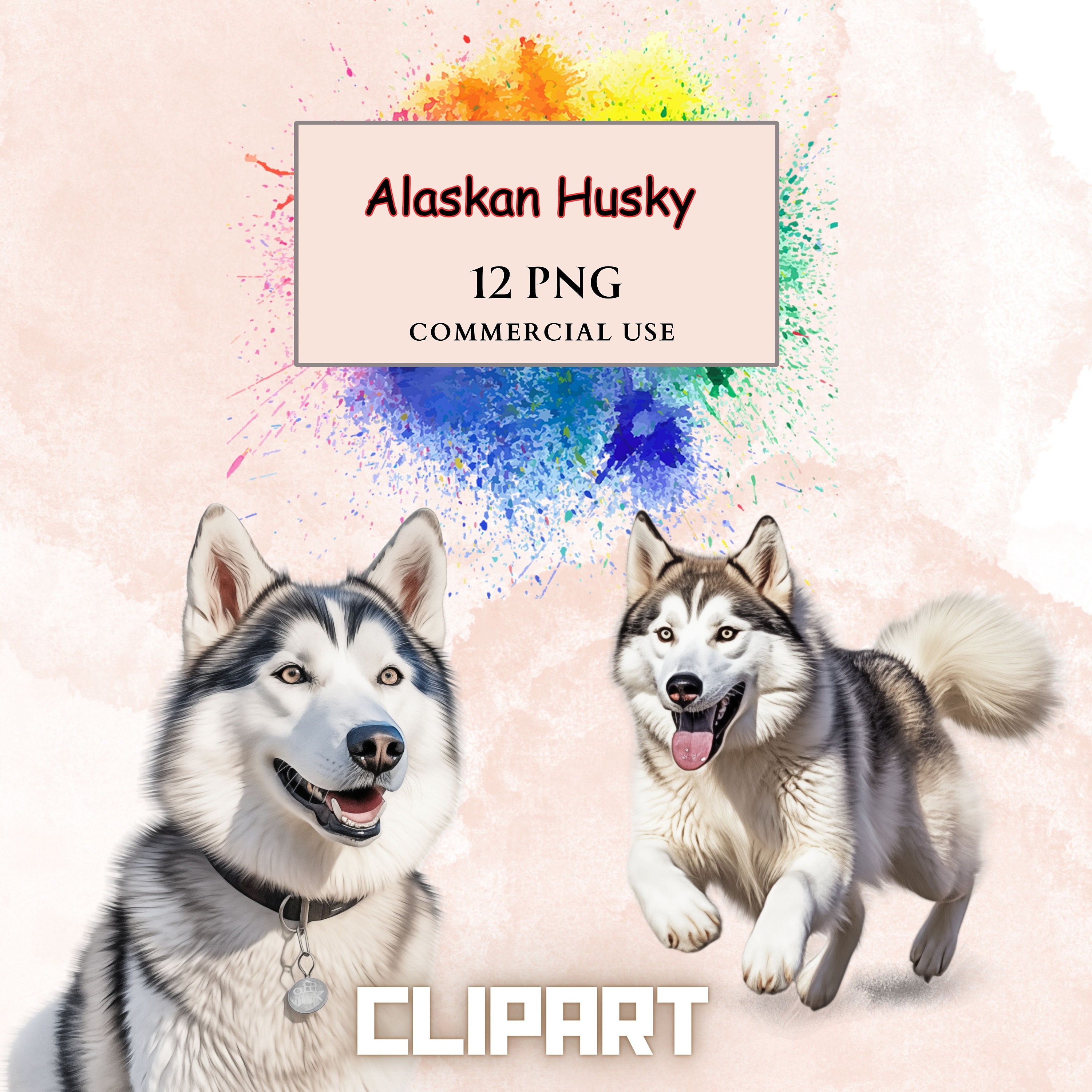 Alaskan Husky Clipart Bundle, Digital Scrapbooking Elements, Animal ...