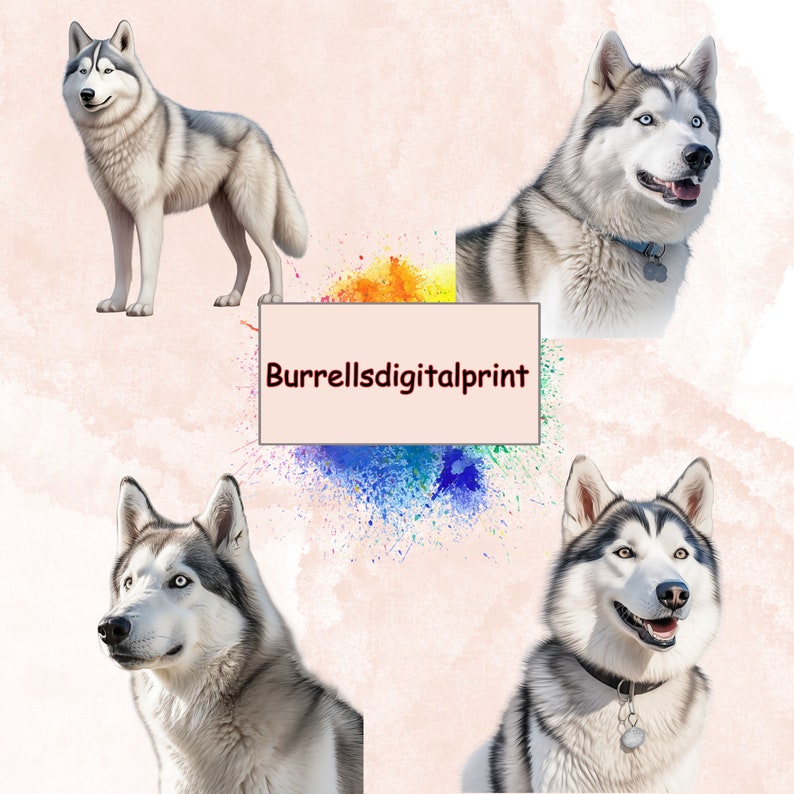 Alaskan Husky Clipart Bundle, Digital Scrapbooking Elements, Animal Clipart, Sublimation, Junk ...