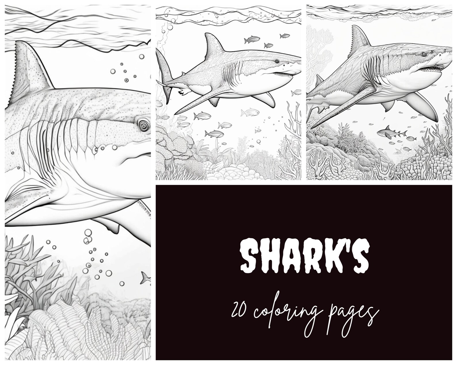 Realistic Shark Coloring Pages for Adults 20 Images - Etsy