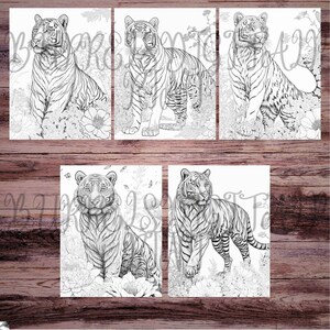 Relax and Roar: 20 Majestic and Relaxing Tiger Coloring Pages for ...