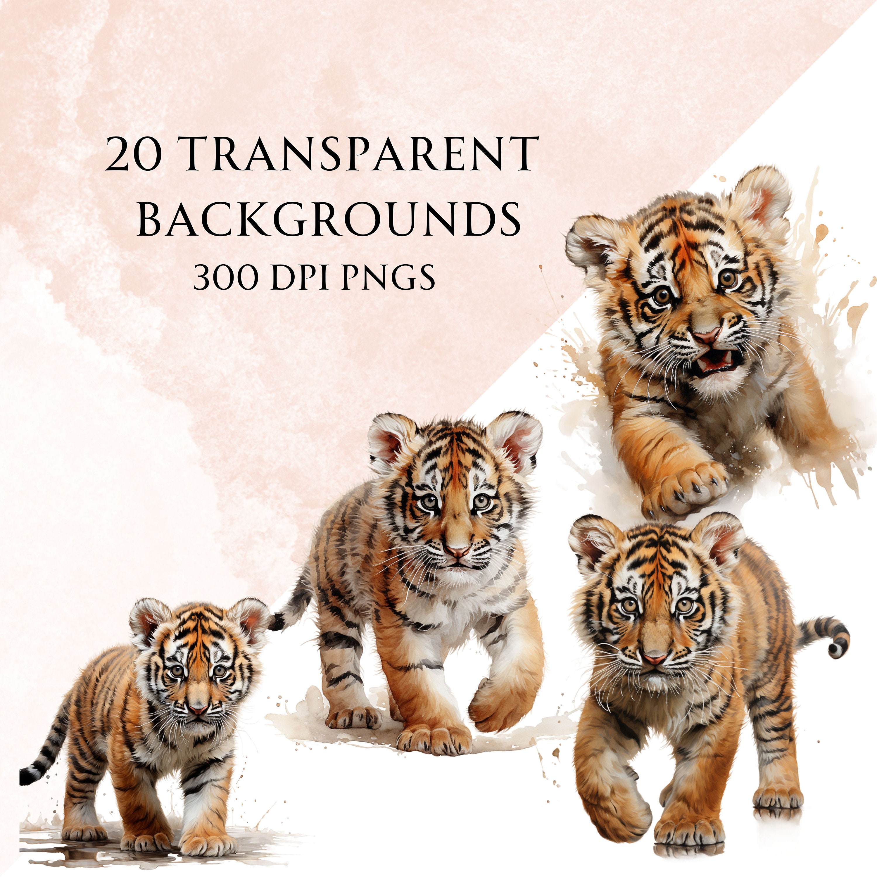 Baby Tiger Clipart Bundle, Clipart for Commercial Use, Transparent Pngs ...