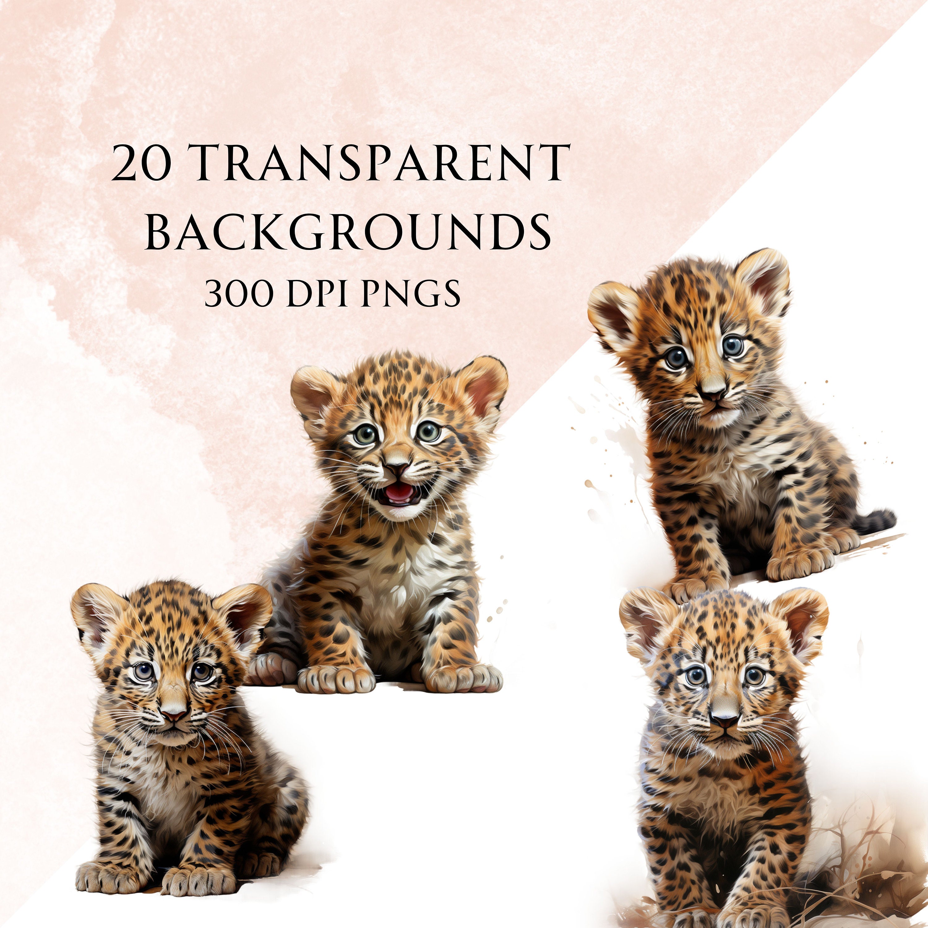 Baby Leopards Clipart Bundle Clipart for Commercial Use - Etsy
