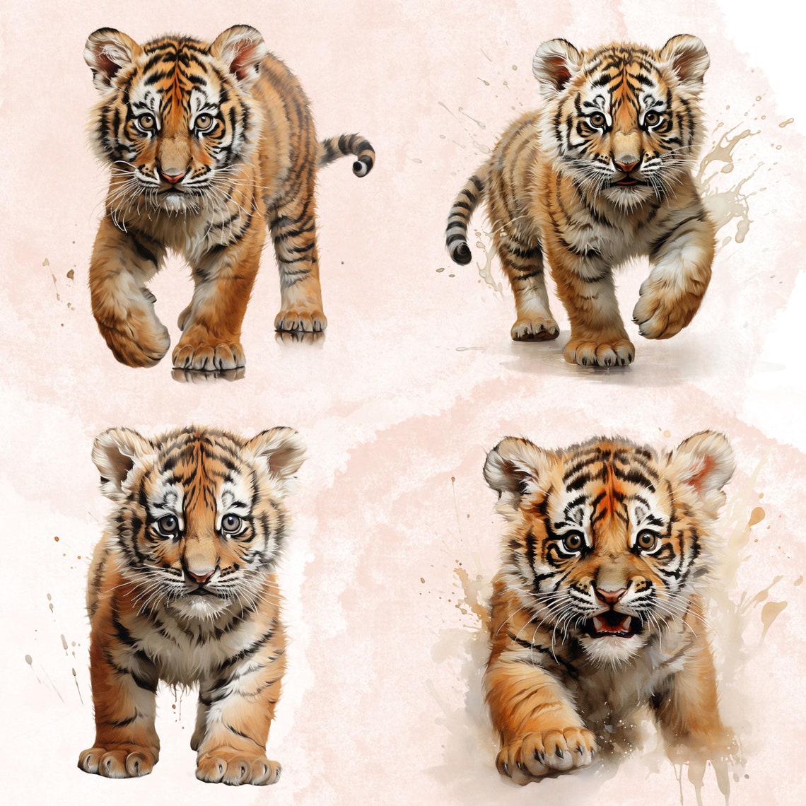 Baby Tiger Clipart Bundle, Clipart for Commercial Use, Transparent Pngs ...