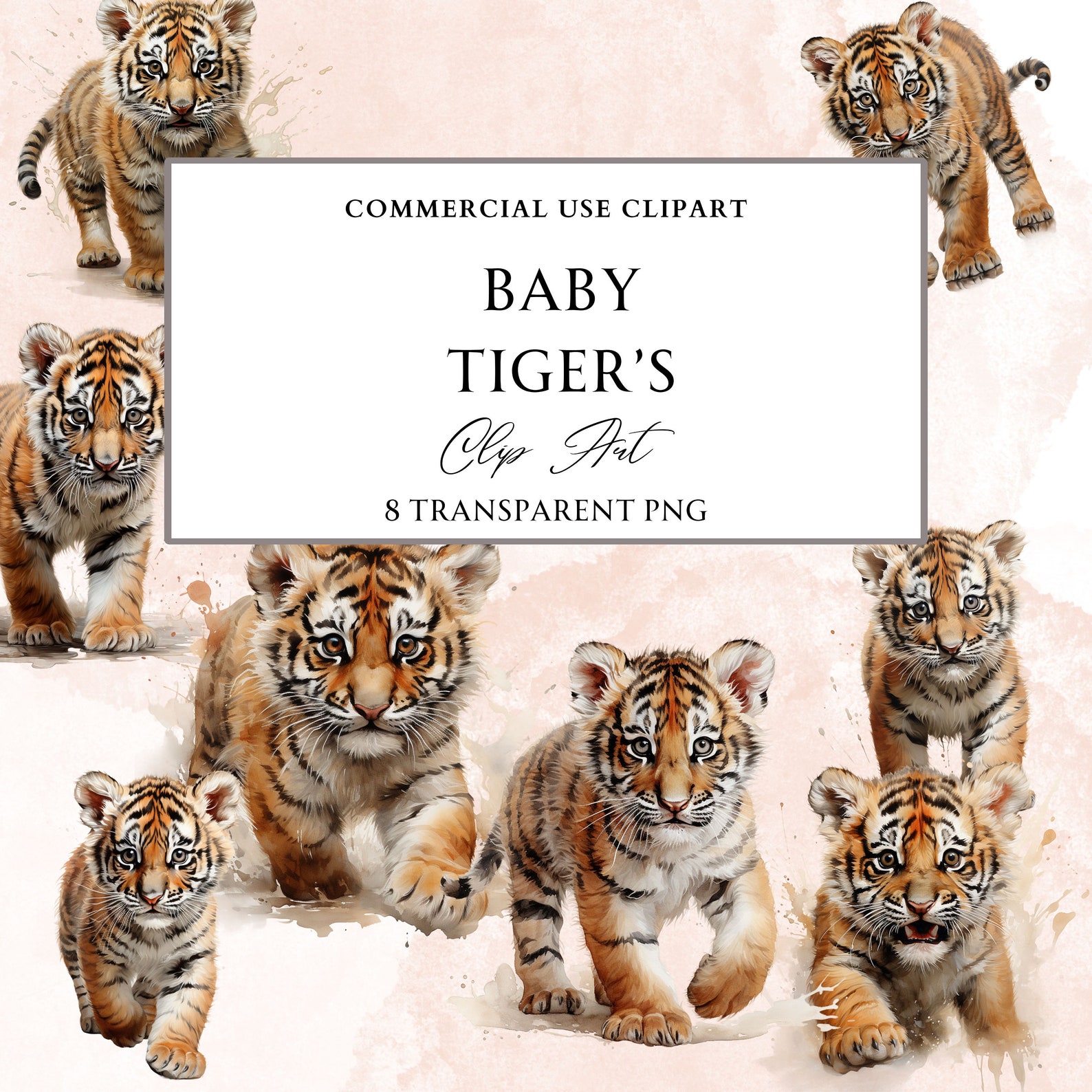 Baby Tiger Clipart Bundle, Clipart for Commercial Use, Transparent Pngs ...