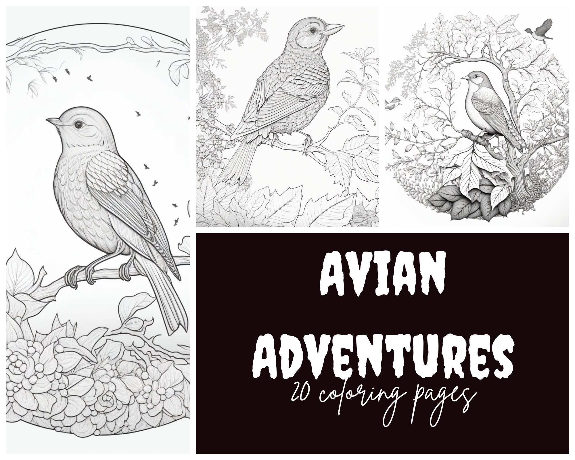 Avian Adventures: 20 Detailed and Vibrant Bird Coloring Pages for ...
