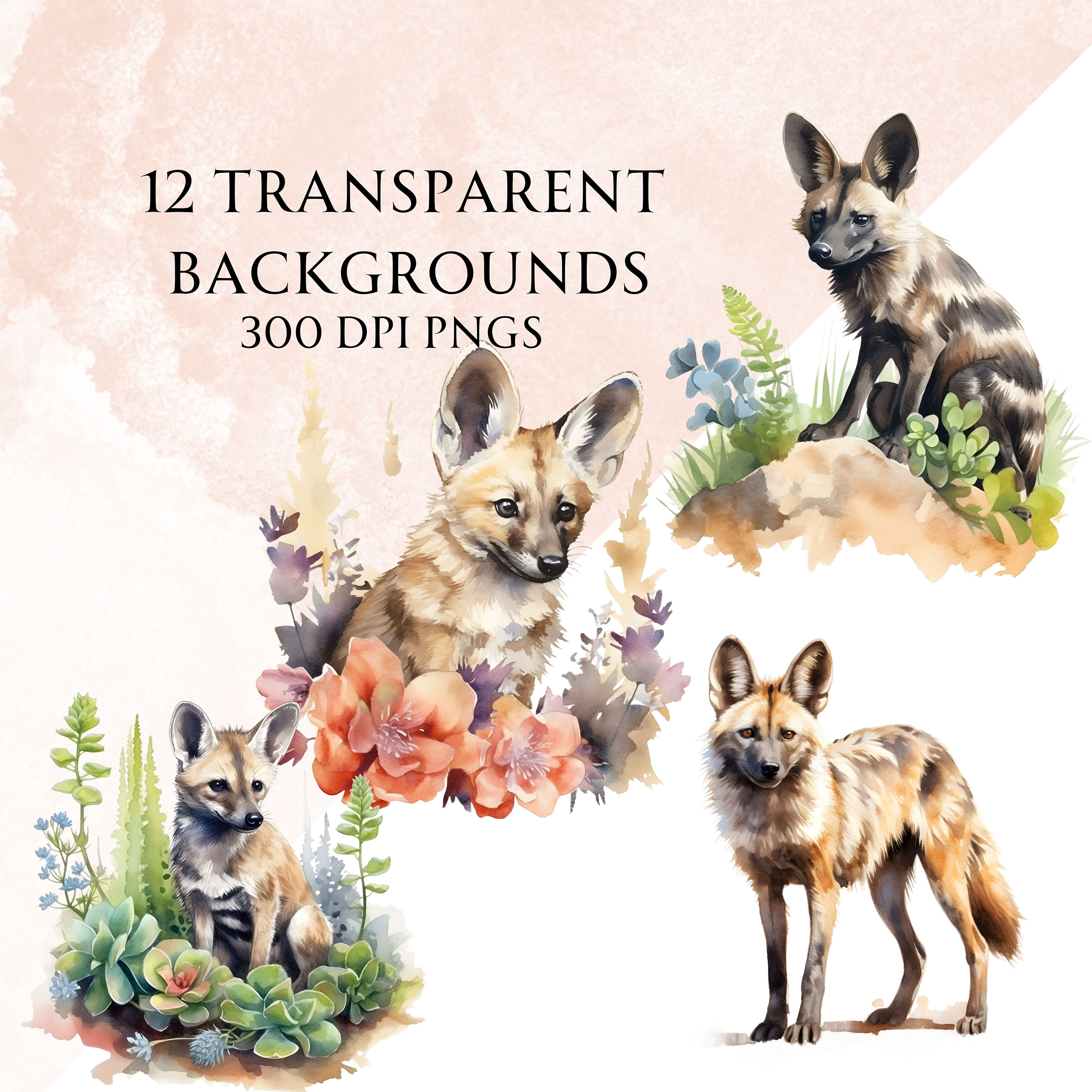 Watercolor Aardwolf Clipart PNG Bundle, Digital Scrapbooking Elements ...
