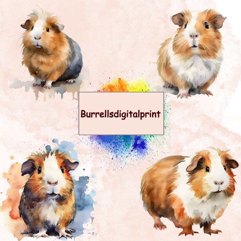 Watercolor Guinea Pig Clipart Bundle, Digital Scrapbooking Elements ...