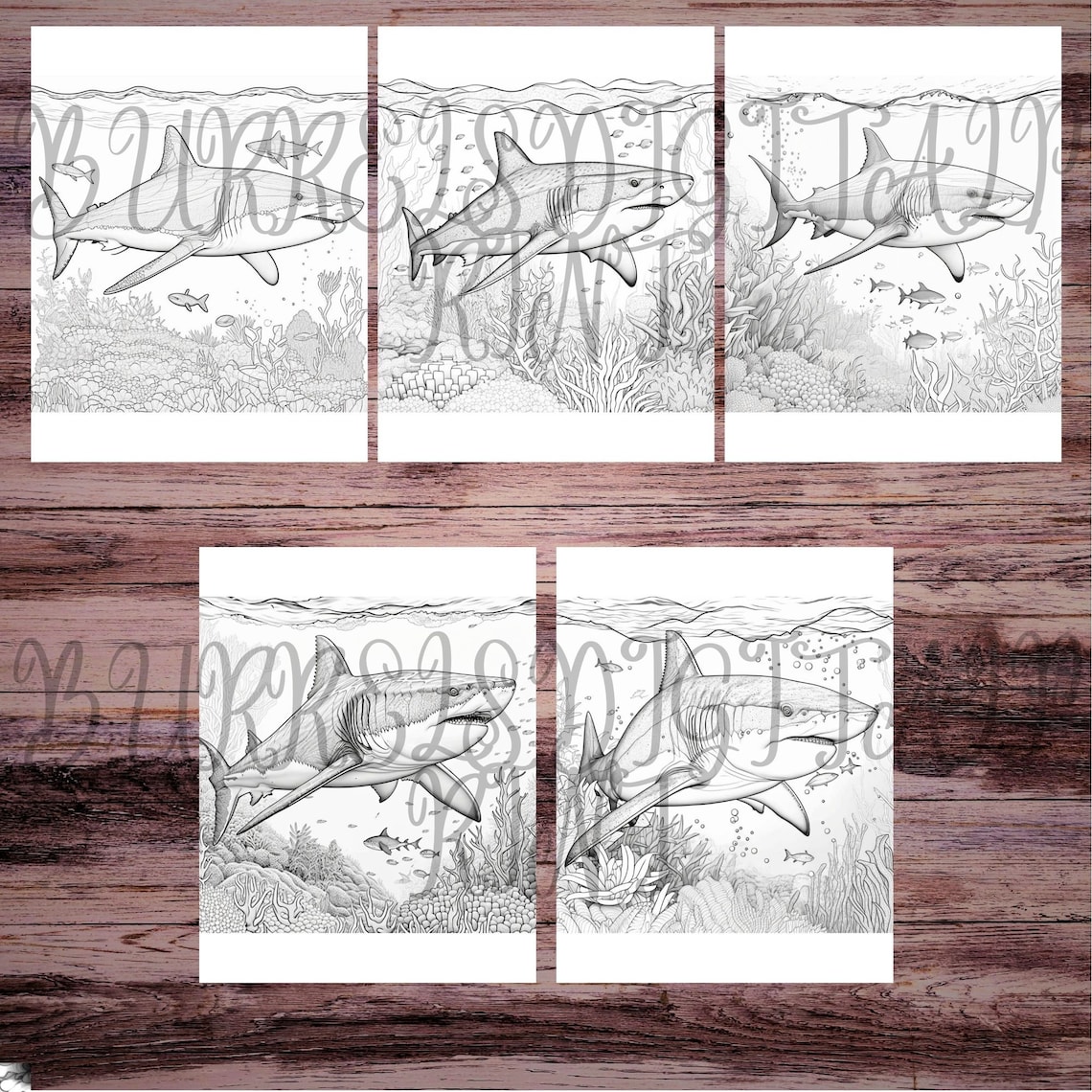 Realistic Shark Coloring Pages for Adults, Ocean Life, Coloring Book ...