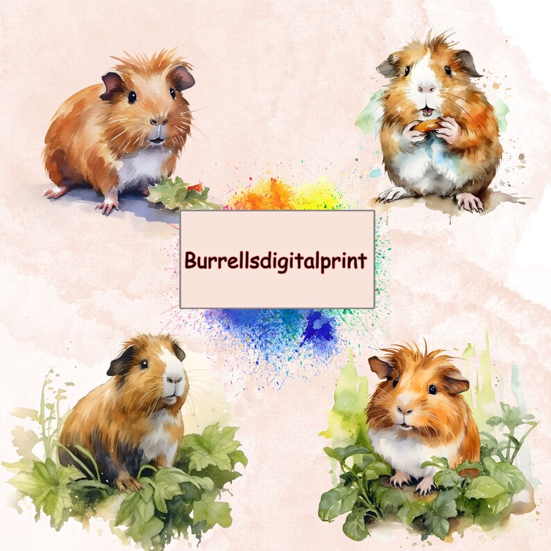 Watercolor Guinea Pig Clipart Bundle, Digital Scrapbooking Elements ...