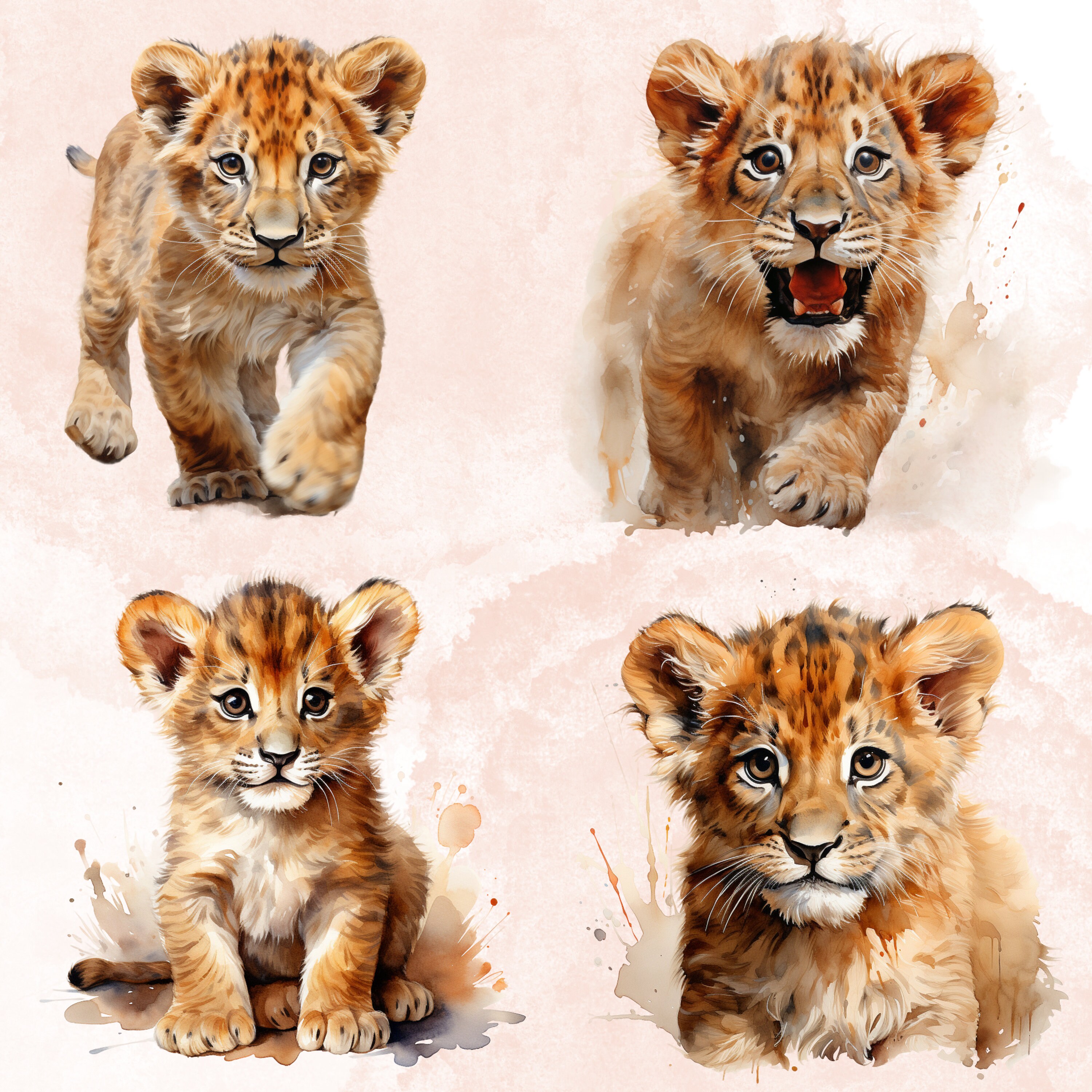 Baby Lion Clipart Bundle, Clipart for Commercial Use, Transparent Pngs ...