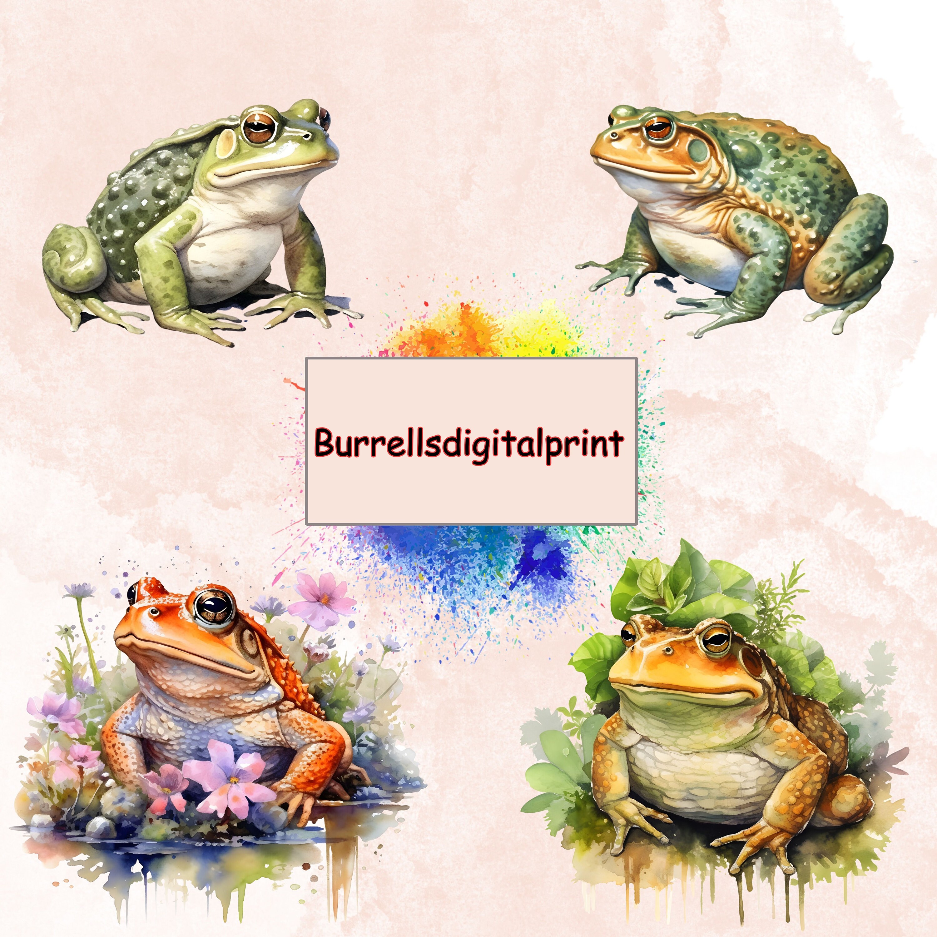 Watercolor African Bullfrog Clipart Bundle, Digital Scrapbooking ...