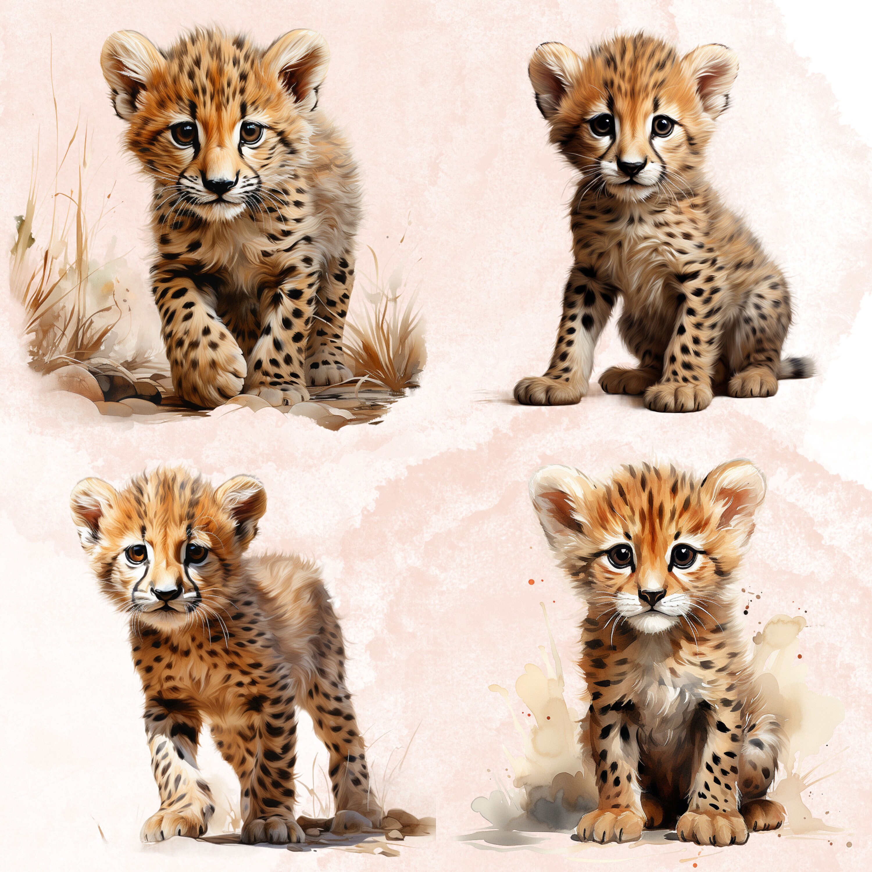 Baby Cheetah Clipart Bundle, Clipart for Commercial Use, Transparent ...