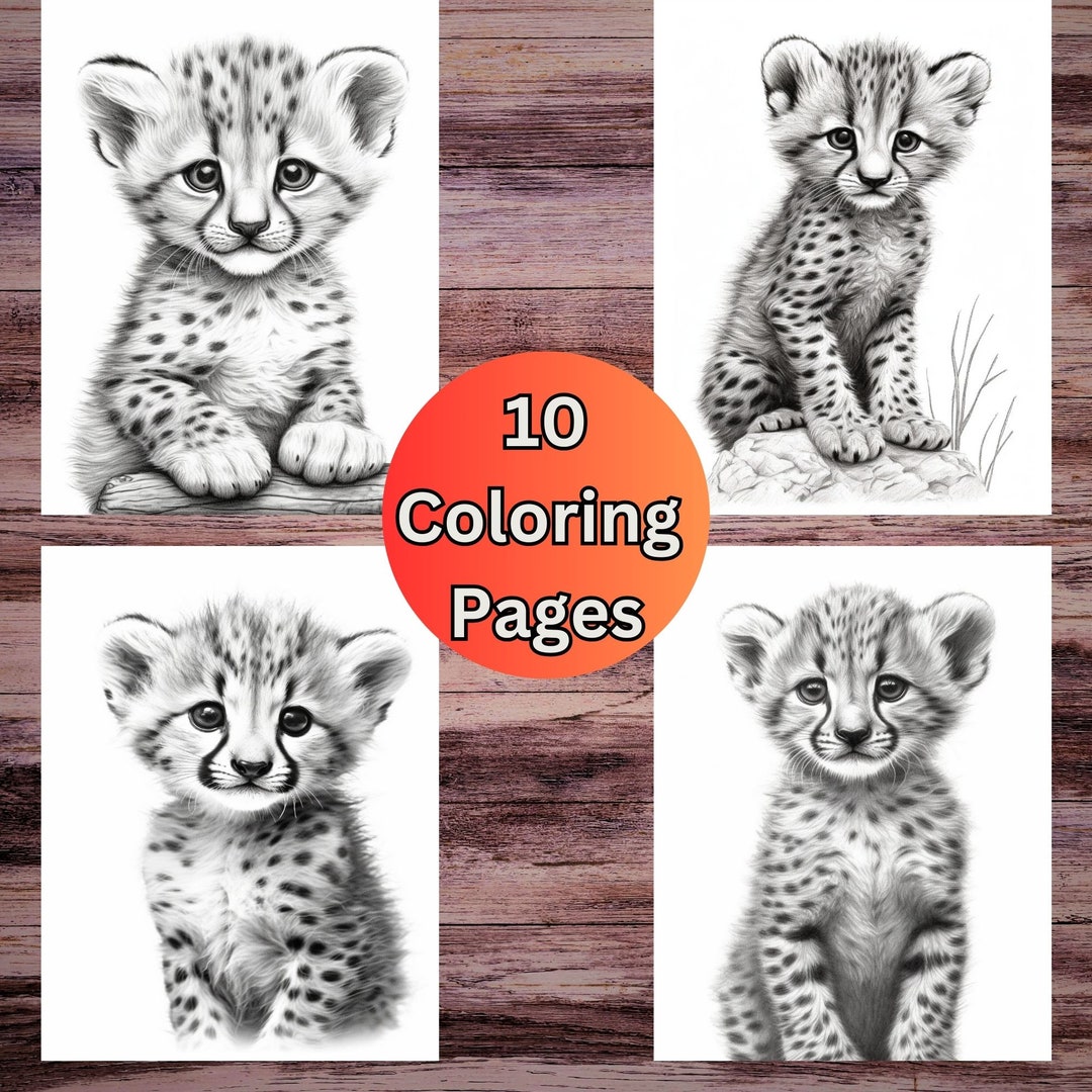 10 Baby Cheetahs Coloring Pages, Greyscale, Light and Dark Versions ...