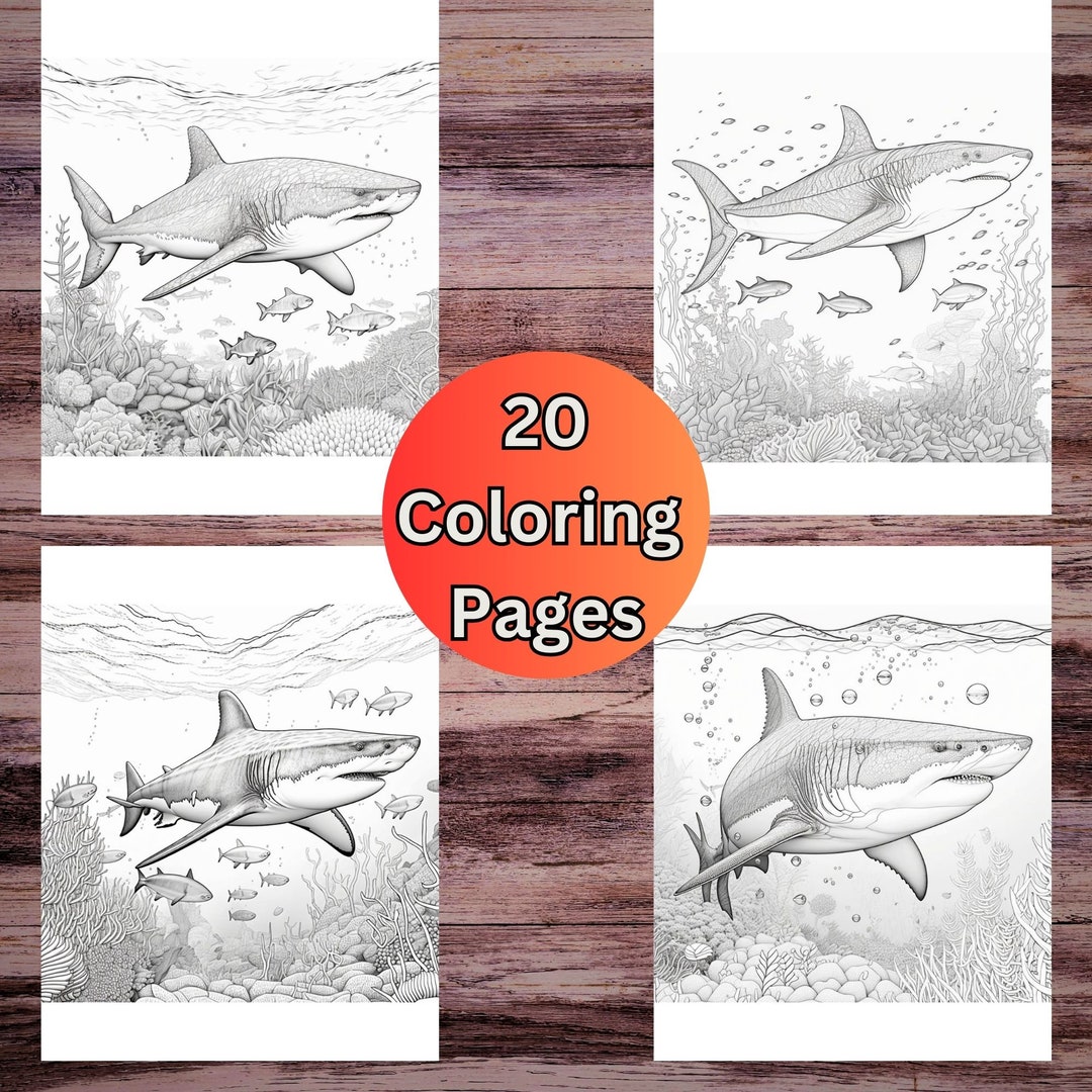 Realistic Shark Coloring Pages for Adults, Ocean Life, Coloring Book ...