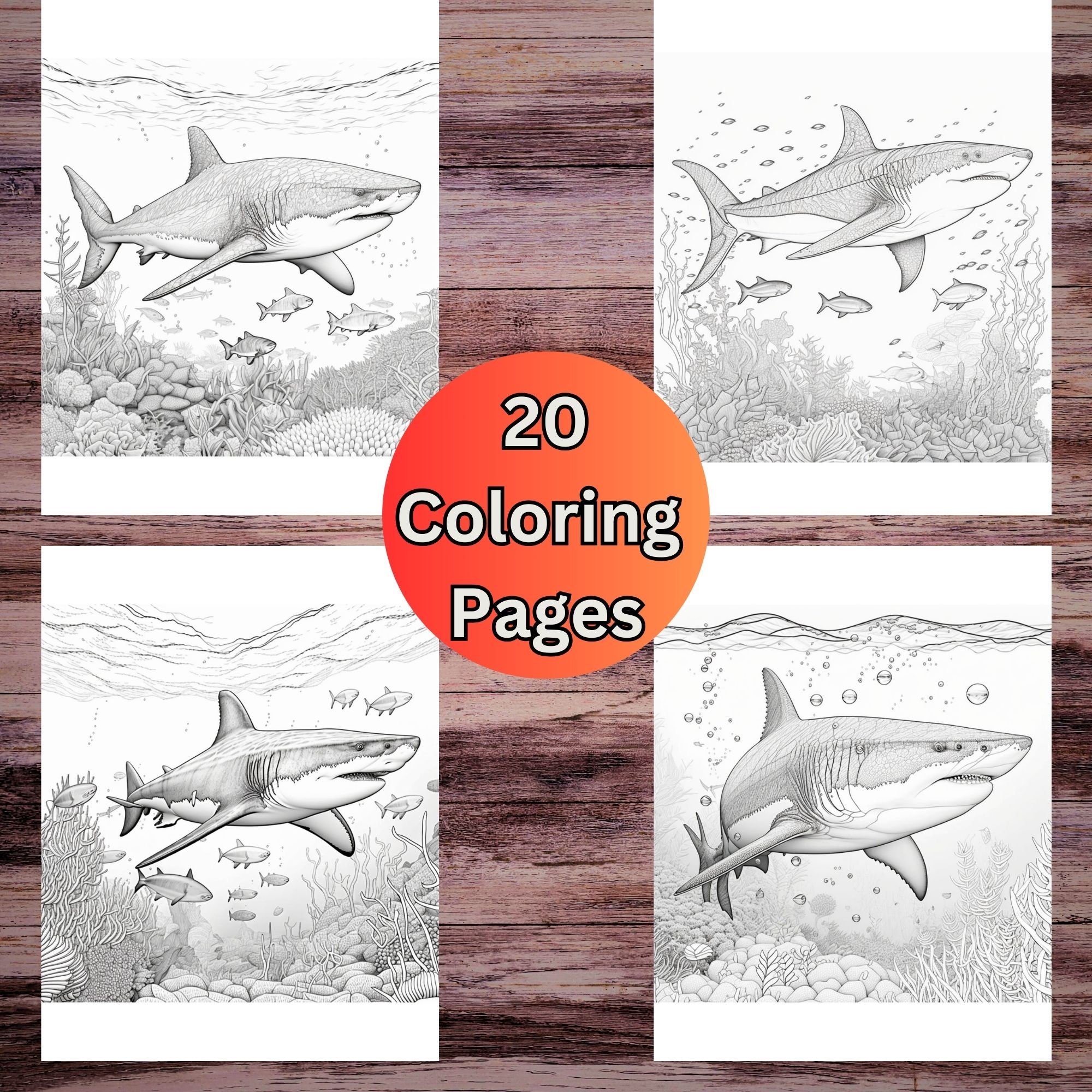 Great White Shark Coloring Pages [2025]