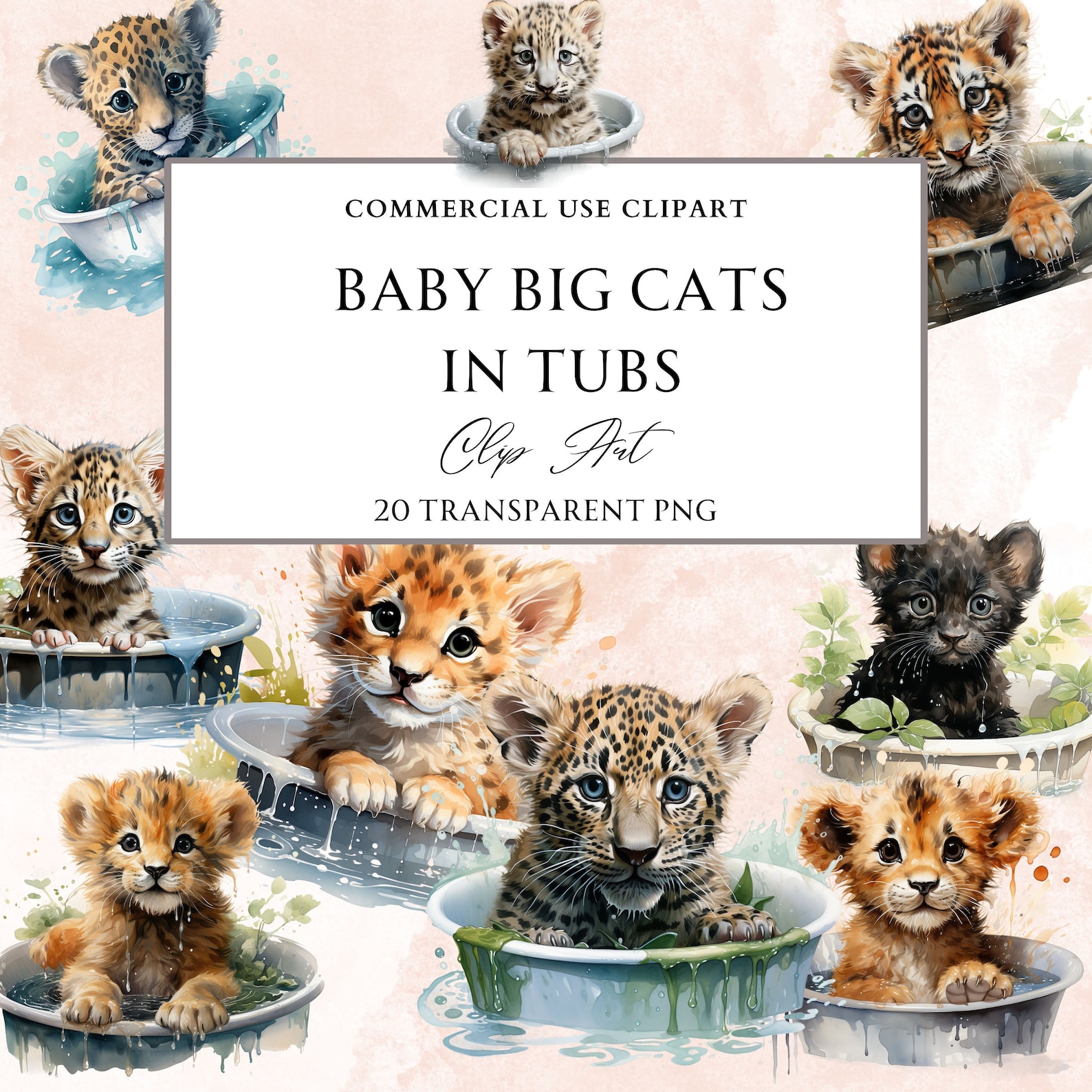 Baby Big Cats in Tubs Clipart Bundle, Clipart for Commercial Use ...