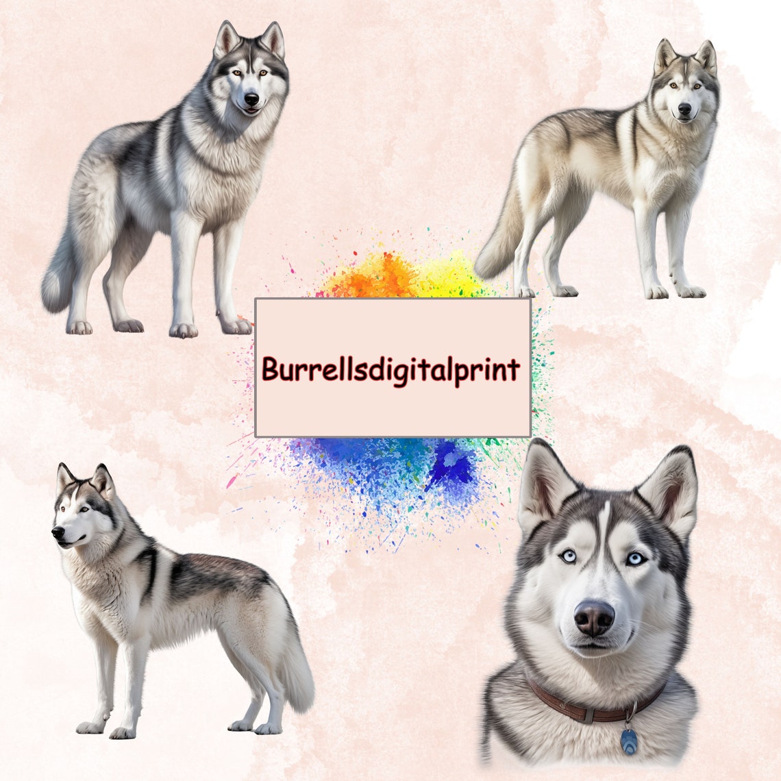 Alaskan Husky Clipart Bundle, Digital Scrapbooking Elements, Animal ...
