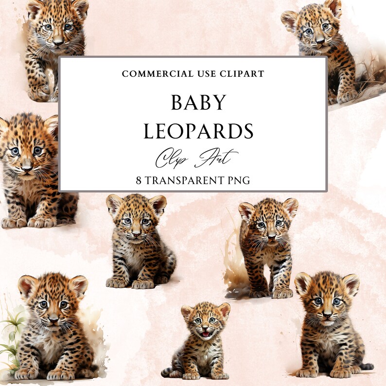 Baby Leopards Clipart Bundle Clipart for Commercial Use - Etsy
