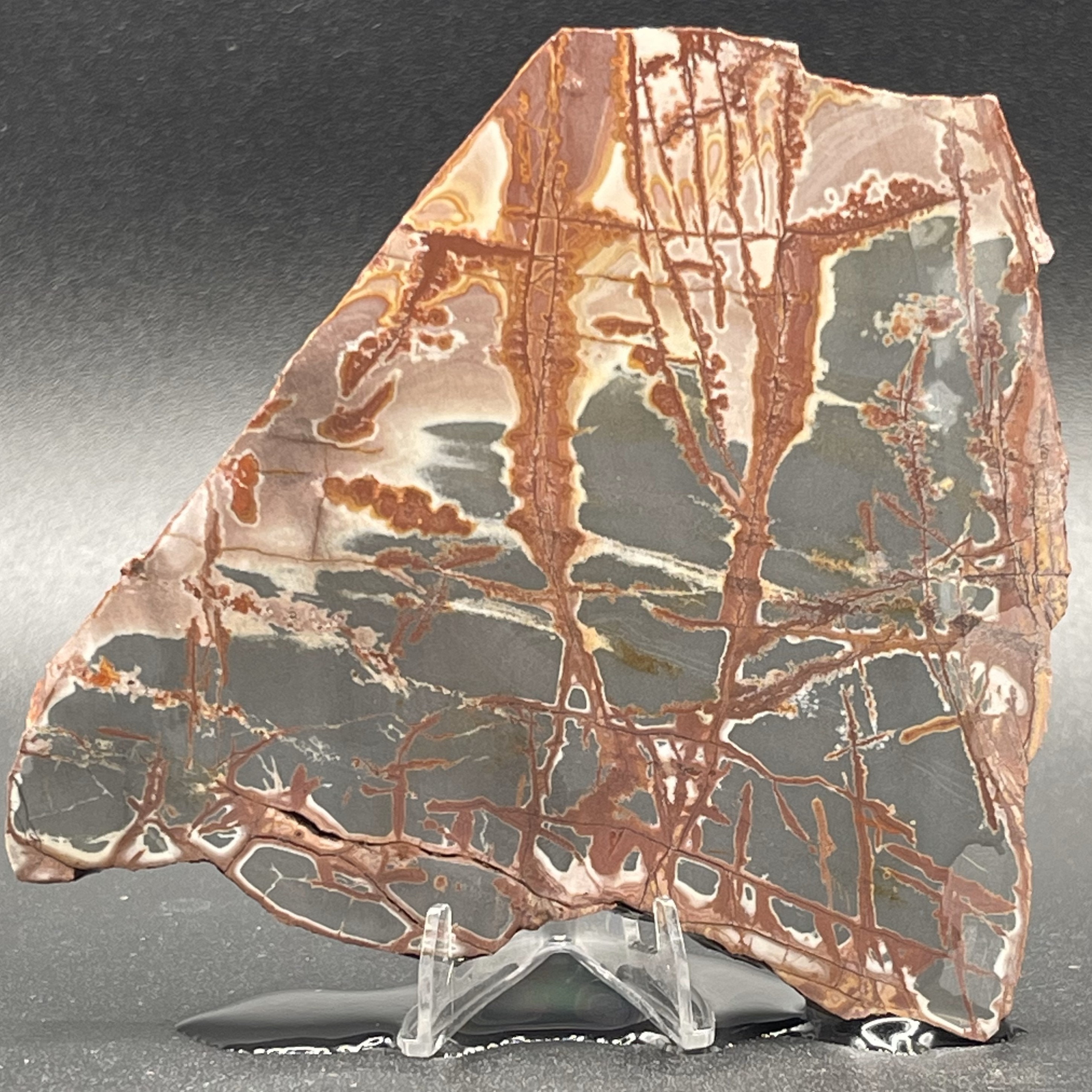 258 Sonora Dendritic Rhyolite Slab, Unpolished 3.5 Oz 98g Rough ...