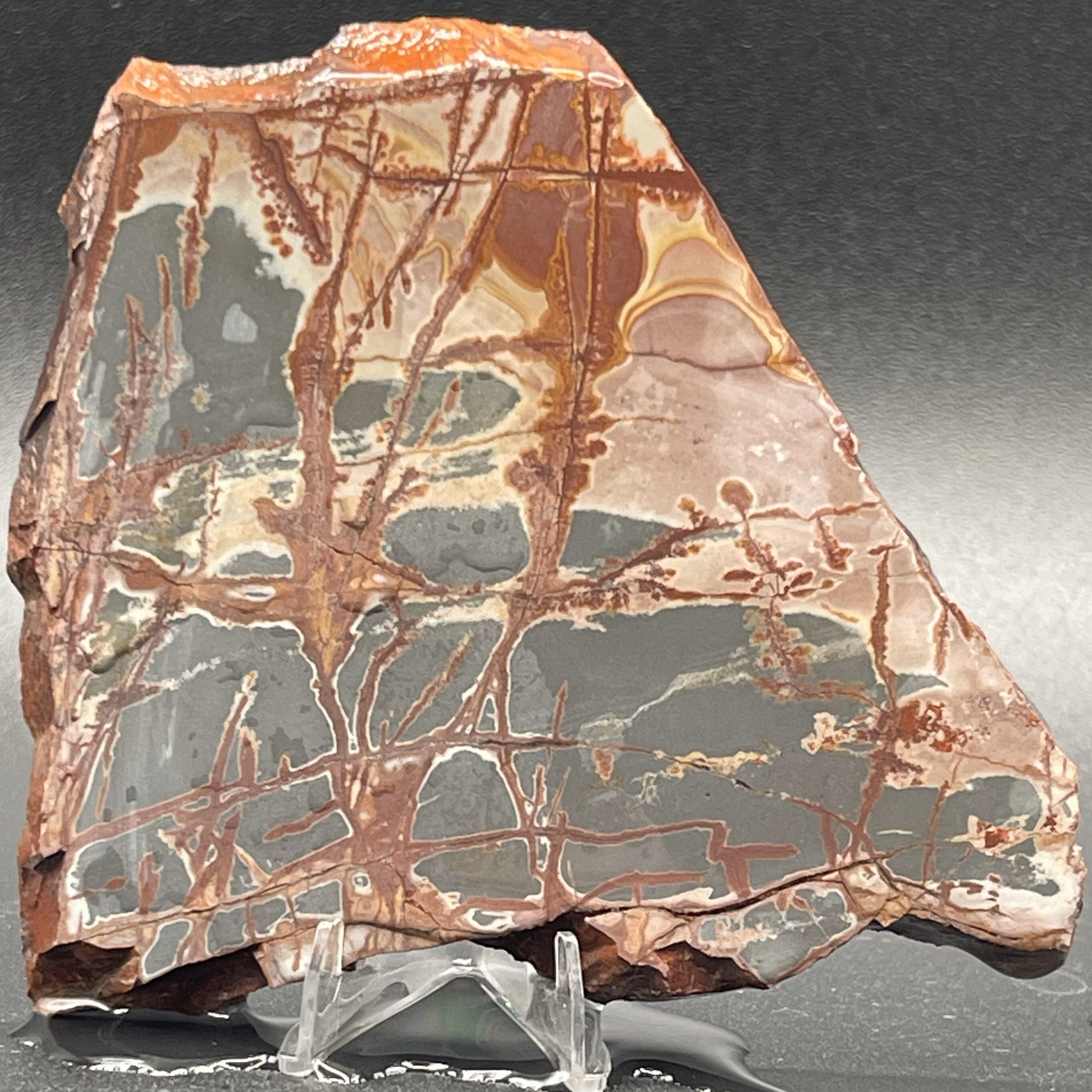 258 Sonora Dendritic Rhyolite Slab, Unpolished 3.5 Oz 98g Rough ...