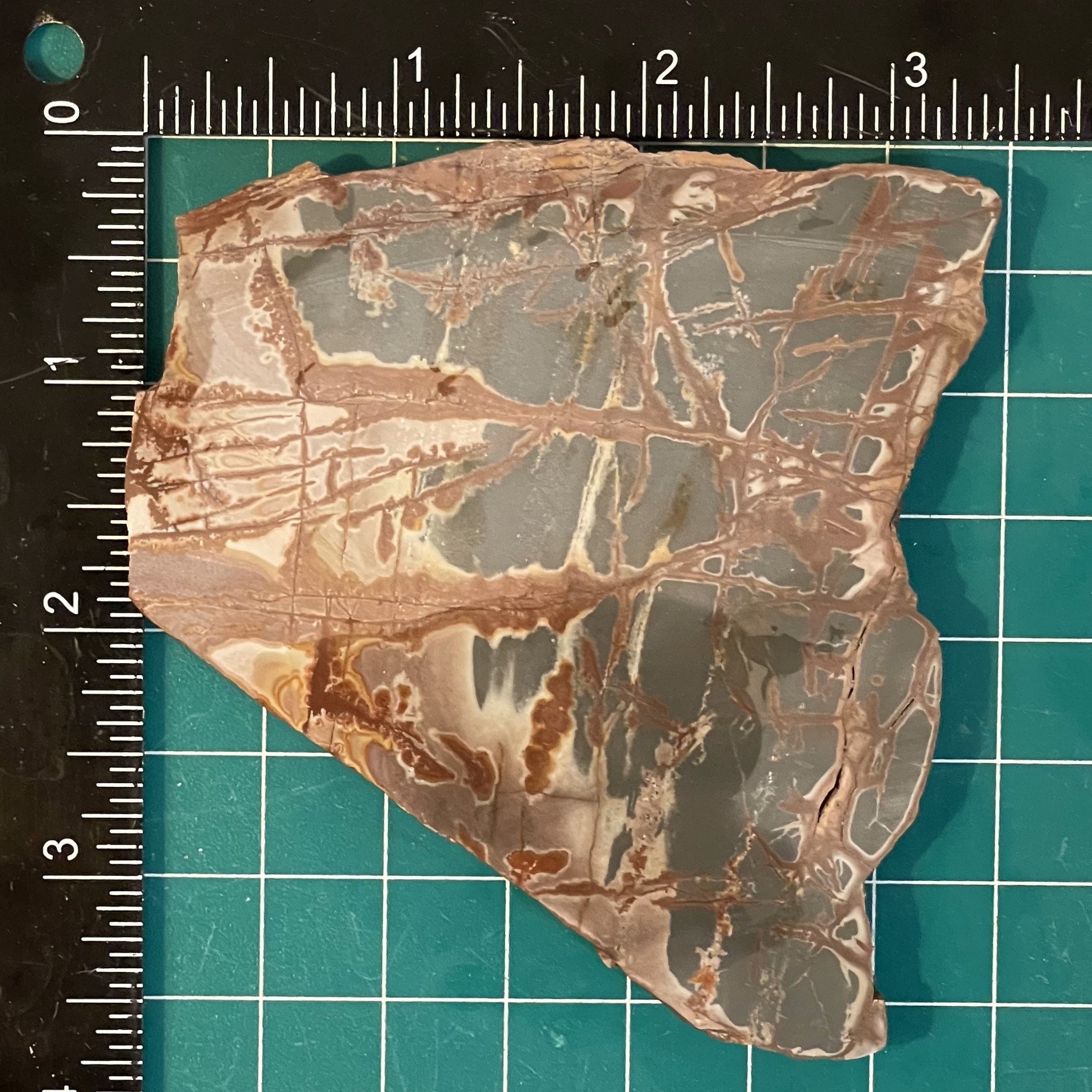 258 Sonora Dendritic Rhyolite Slab, Unpolished 3.5 Oz 98g Rough ...