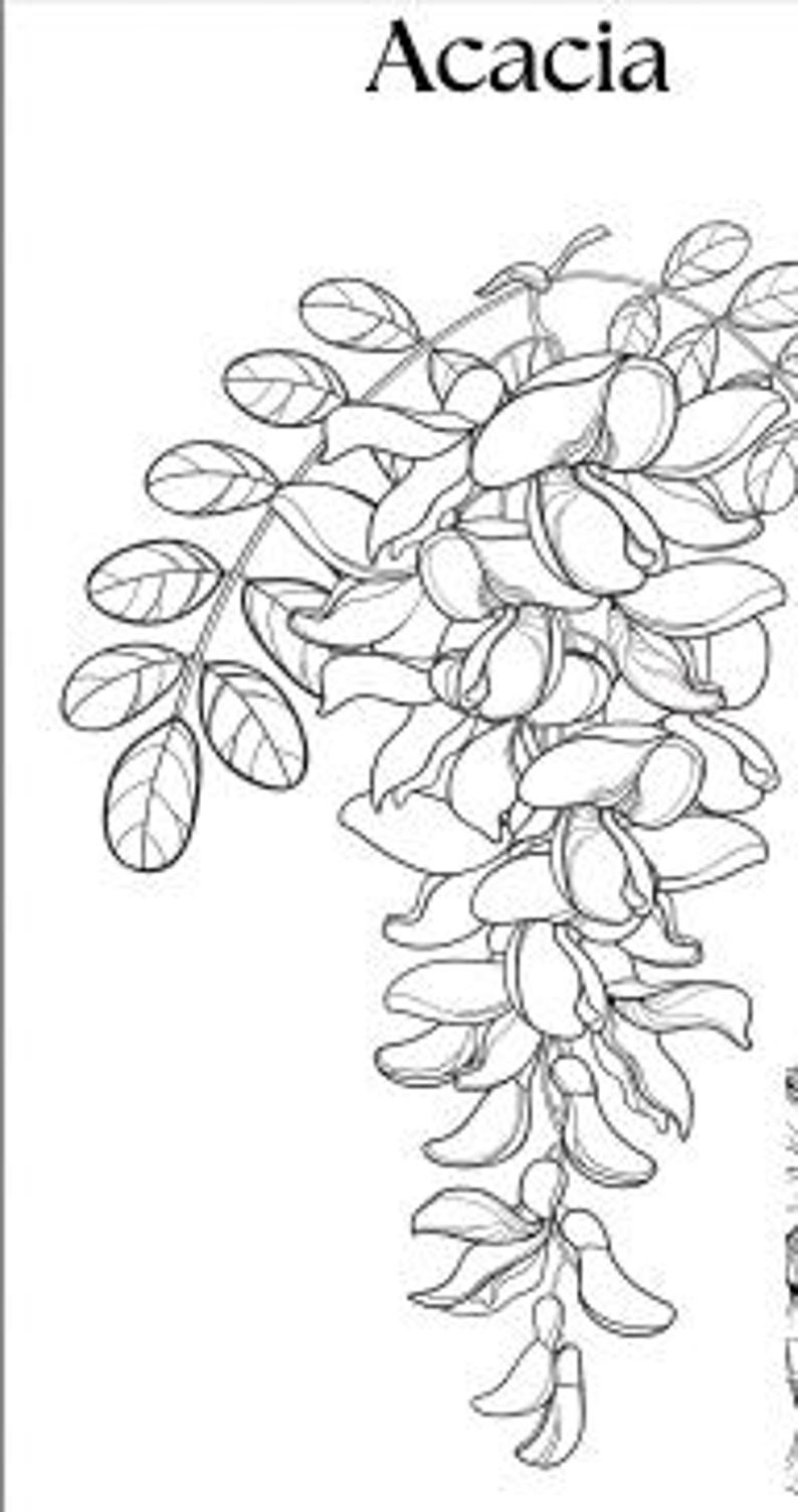 Flowers - an A-Z Coloring Book for All Ages - Etsy