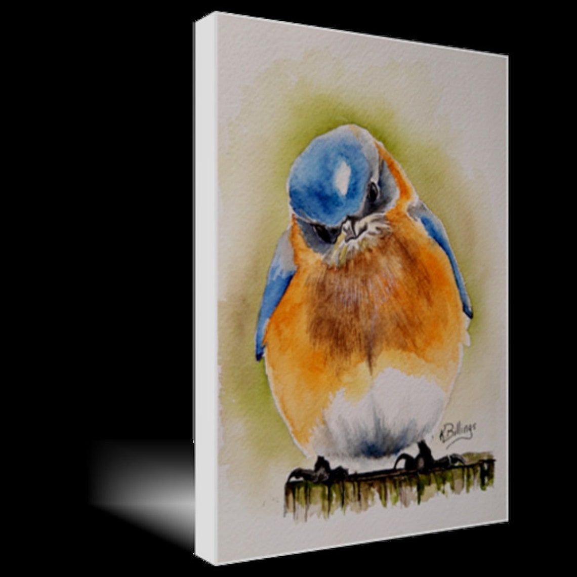 Fat Little Bluebird - Etsy