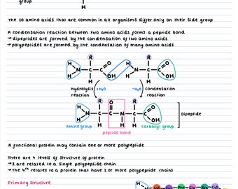 A-level AQA Biology Genetics, Populations, Evolutions and Ecosystems ...