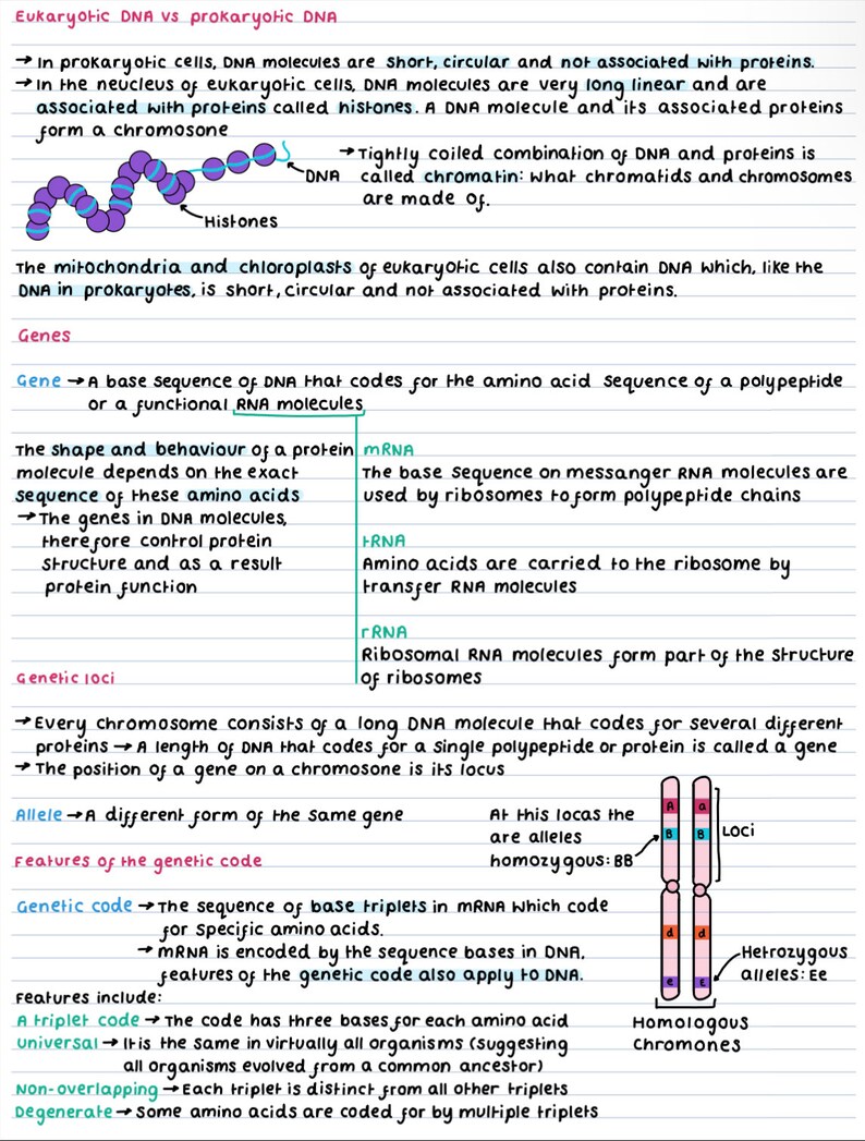 A-level AQA Biology Genetic Information, Variation and Relationships ...