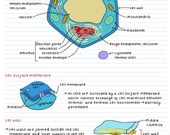 A-level AQA Biology Genetics, Populations, Evolutions and Ecosystems ...