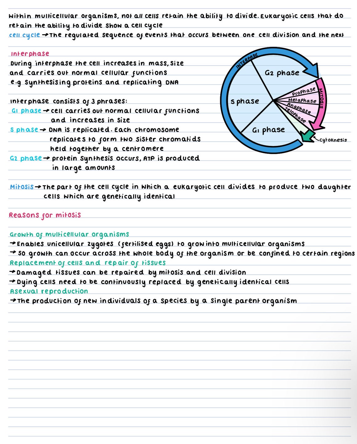 A-level AQA Biology Cells - Etsy