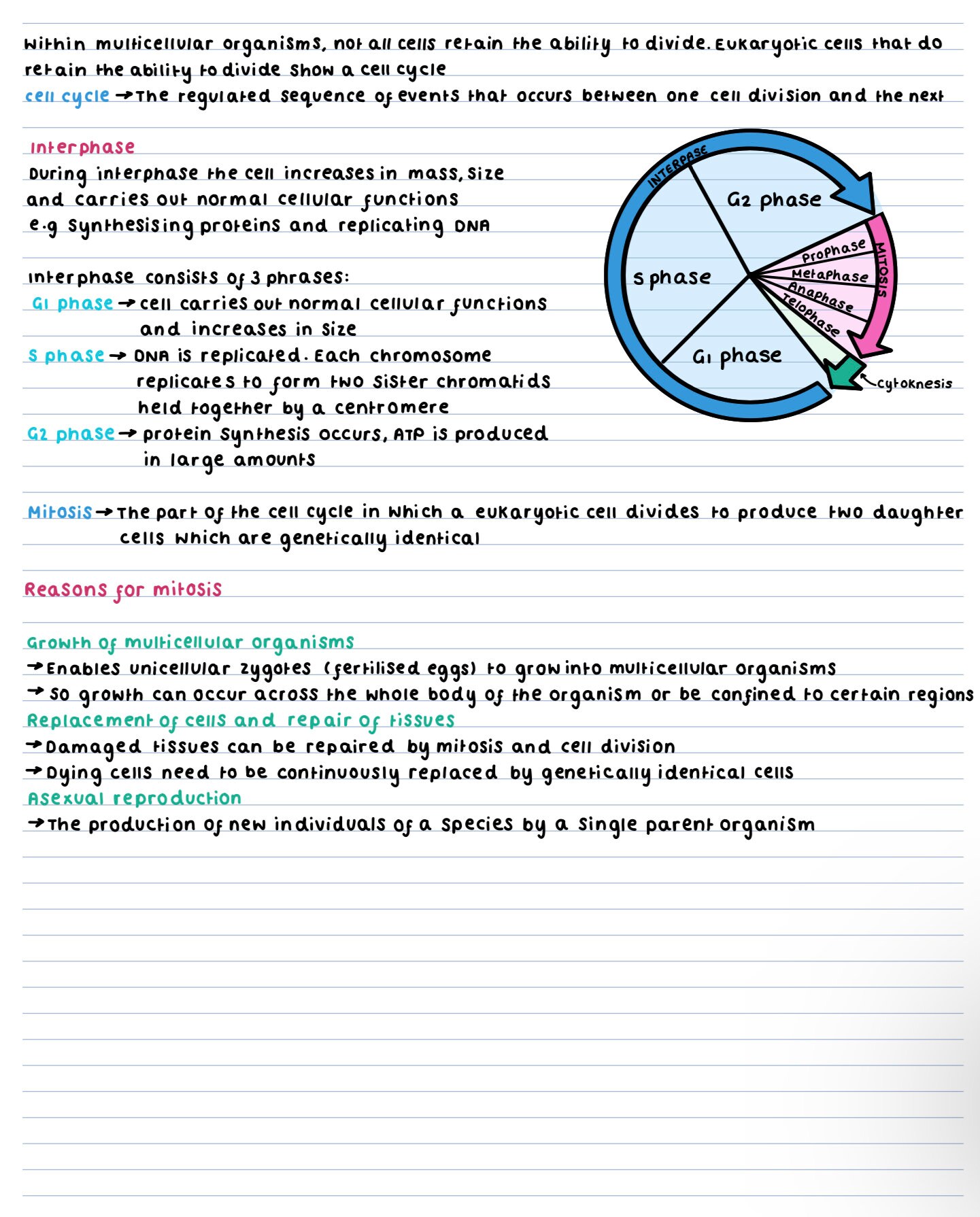 A-level AQA Biology Cells - Etsy