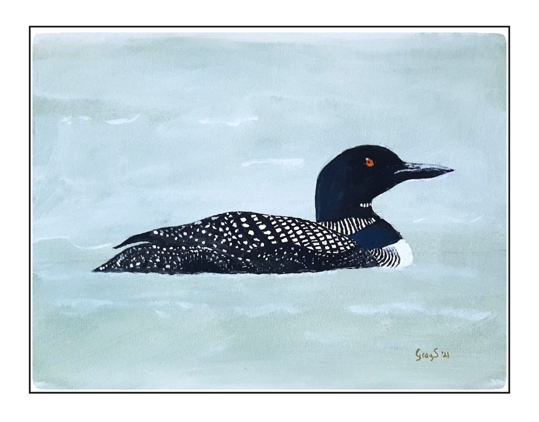 Set of 4 Notecards Blank Folded: Birds Common Loon - Etsy